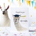 Diploma Llama High School Graduation Cards Funny - College Graduation ...