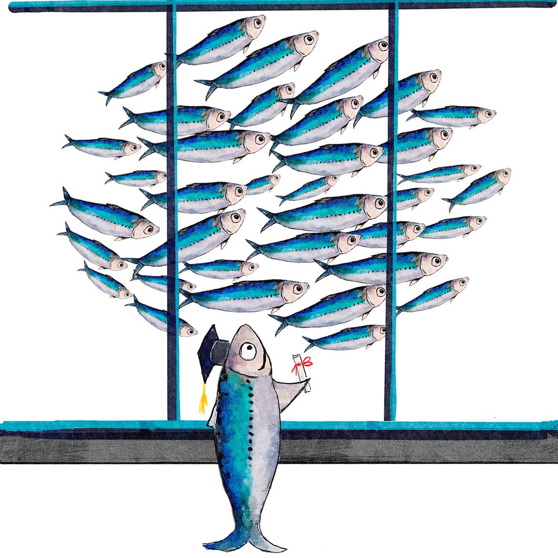 Fish Funny Graduation Card 2025 - Done With School Graduation Cards for ...