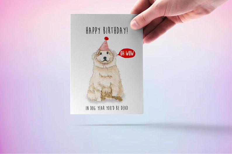 Samoyed Dog Funny 30th Birthday Card in Dog Years You'd Be | Etsy