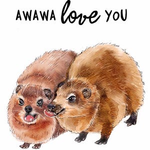 Rock Hyrax Love Card for Husband - Awawa Funny Valentines Day Card for ...