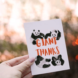 Giant Panda Bear Funny Thank You Cards for Friends - Baby Shower Thank ...