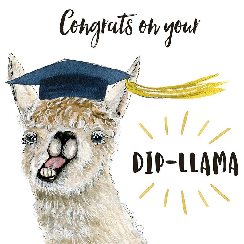 Diploma Llama High School Graduation Cards Funny - College Graduation ...