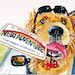 Golden Retriever Retirement Cards for Men - Road Trip Adventure Begins ...