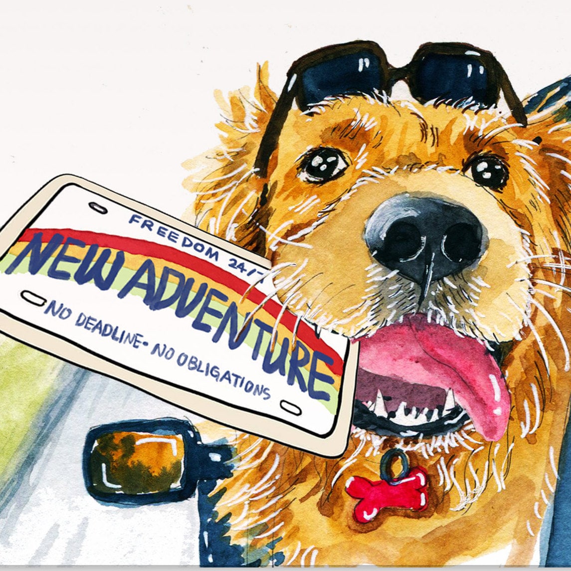 Golden Retriever Retirement Cards for Men - Road Trip Adventure Begins ...