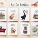 Pope Cat Meme Funny Birthday Card - Crocs Charms Birthday Blessing ...