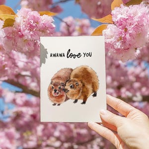 Rock Hyrax Love Card for Husband - Awawa Funny Valentines Day Card for ...