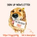 Golden Retriever Retirement Cards for Men - Road Trip Adventure Begins ...