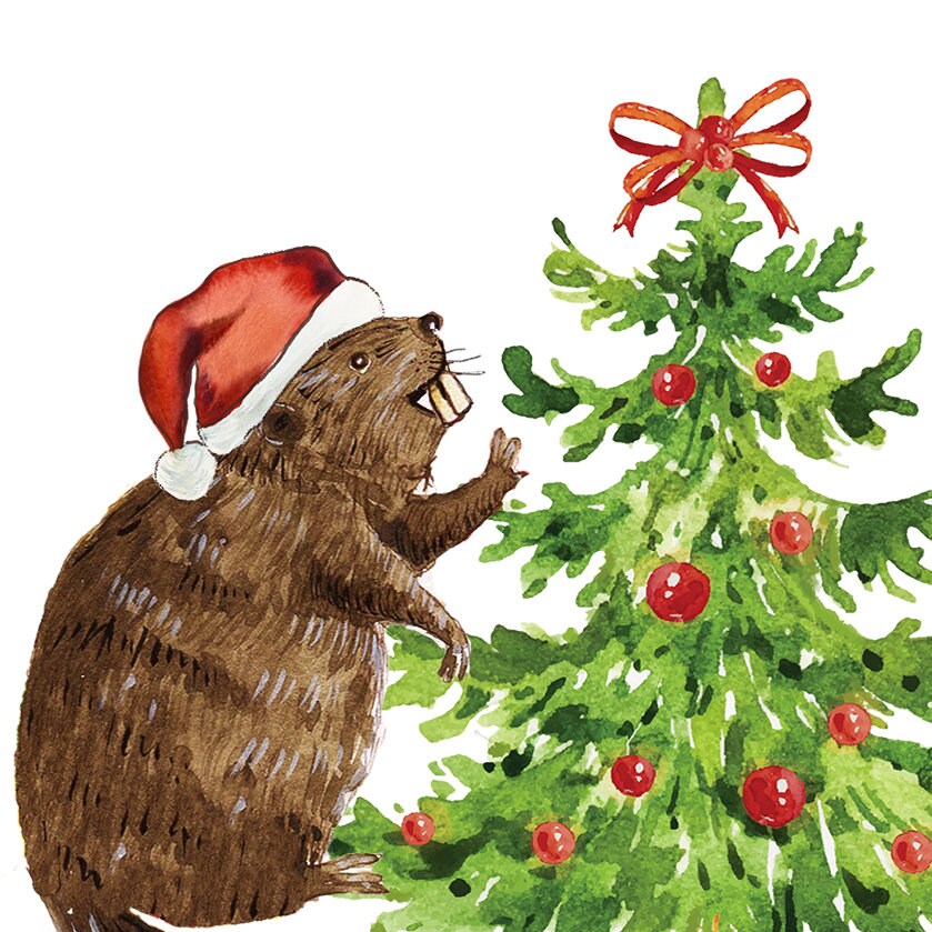 Beaver Funny Christmas Cards for Friends - Dam Fake Christmas Tree ...