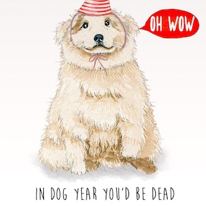 Samoyed Dog Funny 30th Birthday Card in Dog Years You'd Be Dead - Etsy