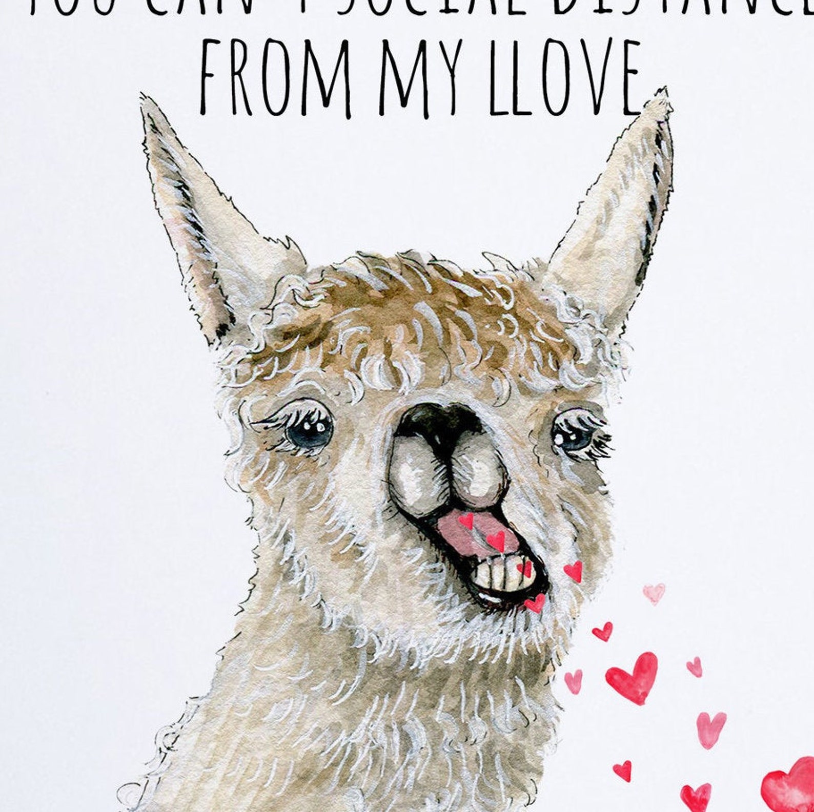 Funny Llama Spits Love Valentines Day Card Funny Pandemic - Social ...