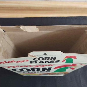 Vintage Kellogg's Corn Flakes Cereal Box, 1994 Blossom TV Show. - Etsy