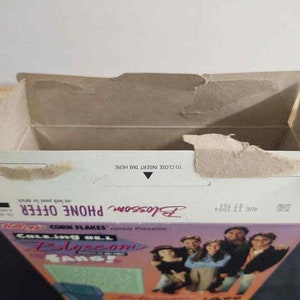 Vintage Kellogg's Corn Flakes Cereal Box, 1994 Blossom TV Show. - Etsy