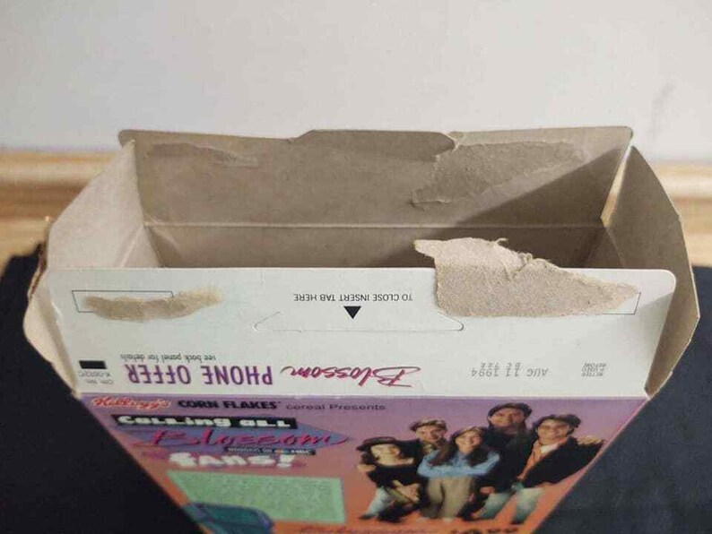 Vintage Kellogg's Corn Flakes Cereal Box, 1994 Blossom TV Show. - Etsy