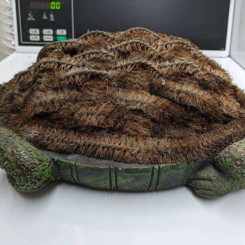 Turtle Shoes - Etsy