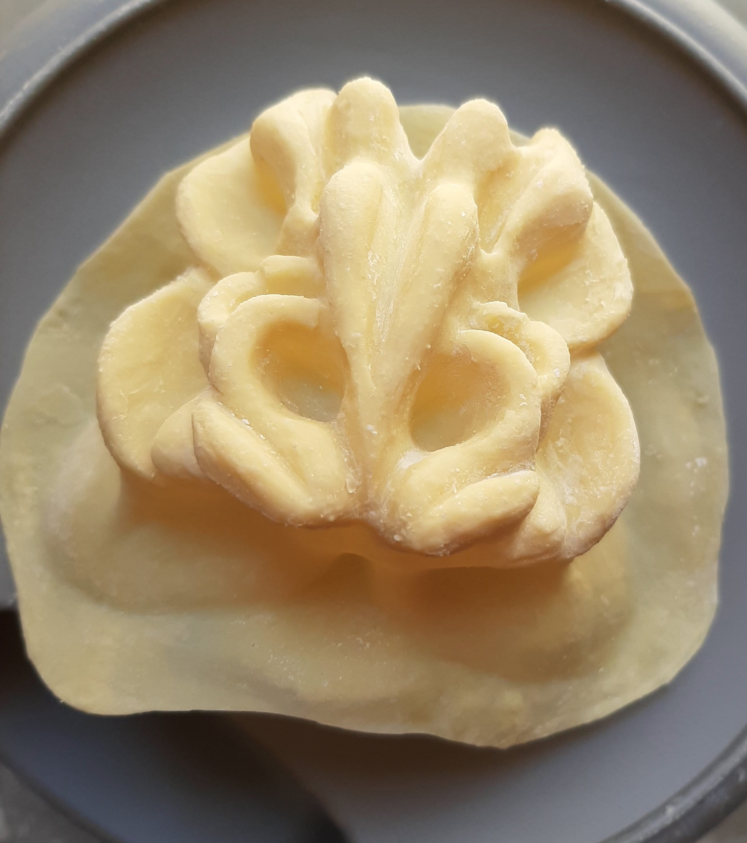 Bat Nose Prosthetic - Etsy