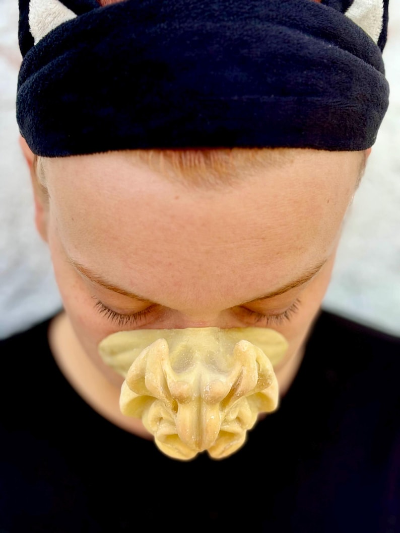 Bat Nose Prosthetic - Etsy