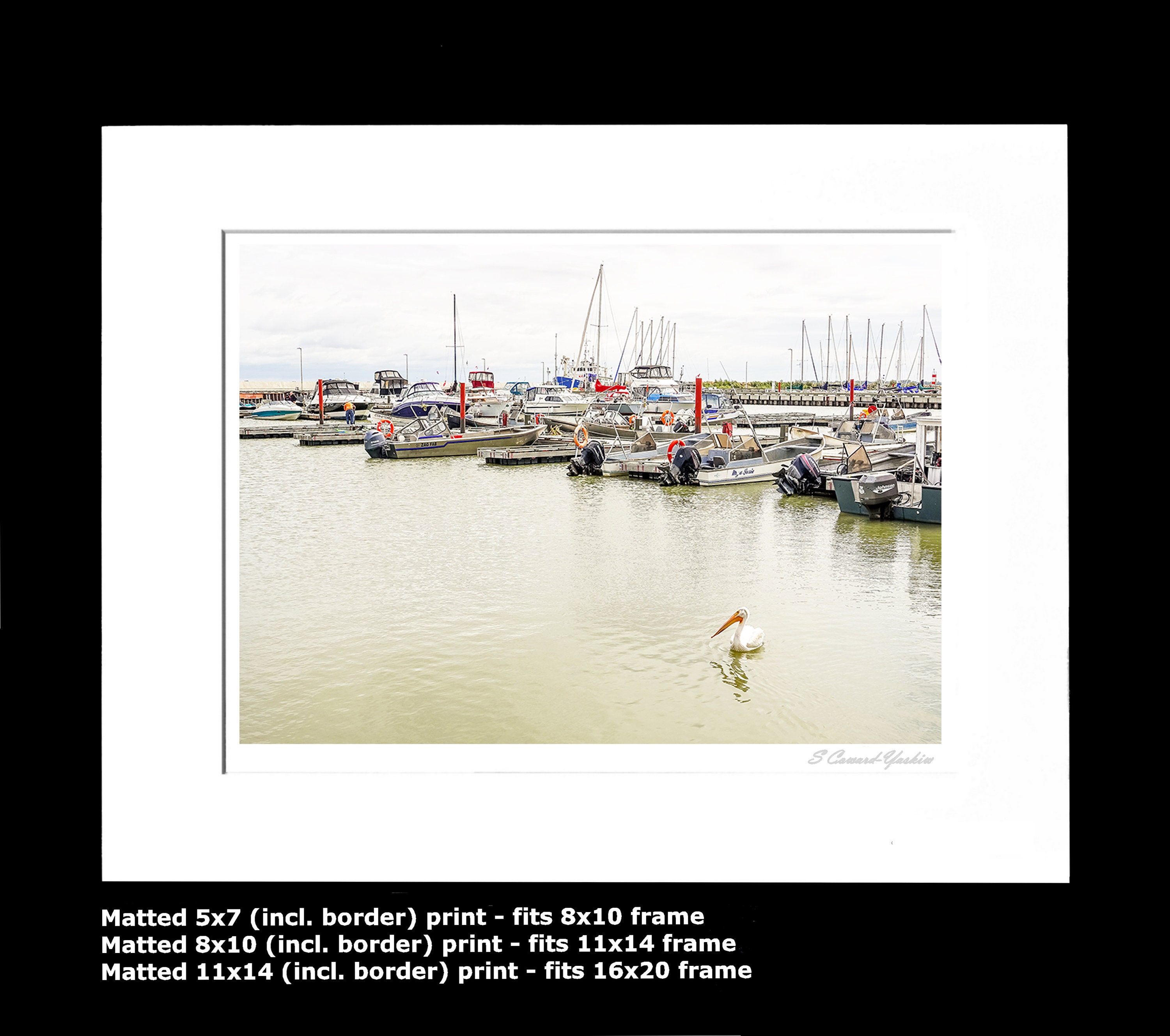 Art & Collectibles Color Gimli Pelican-Prints/Card Landscape Pier ...