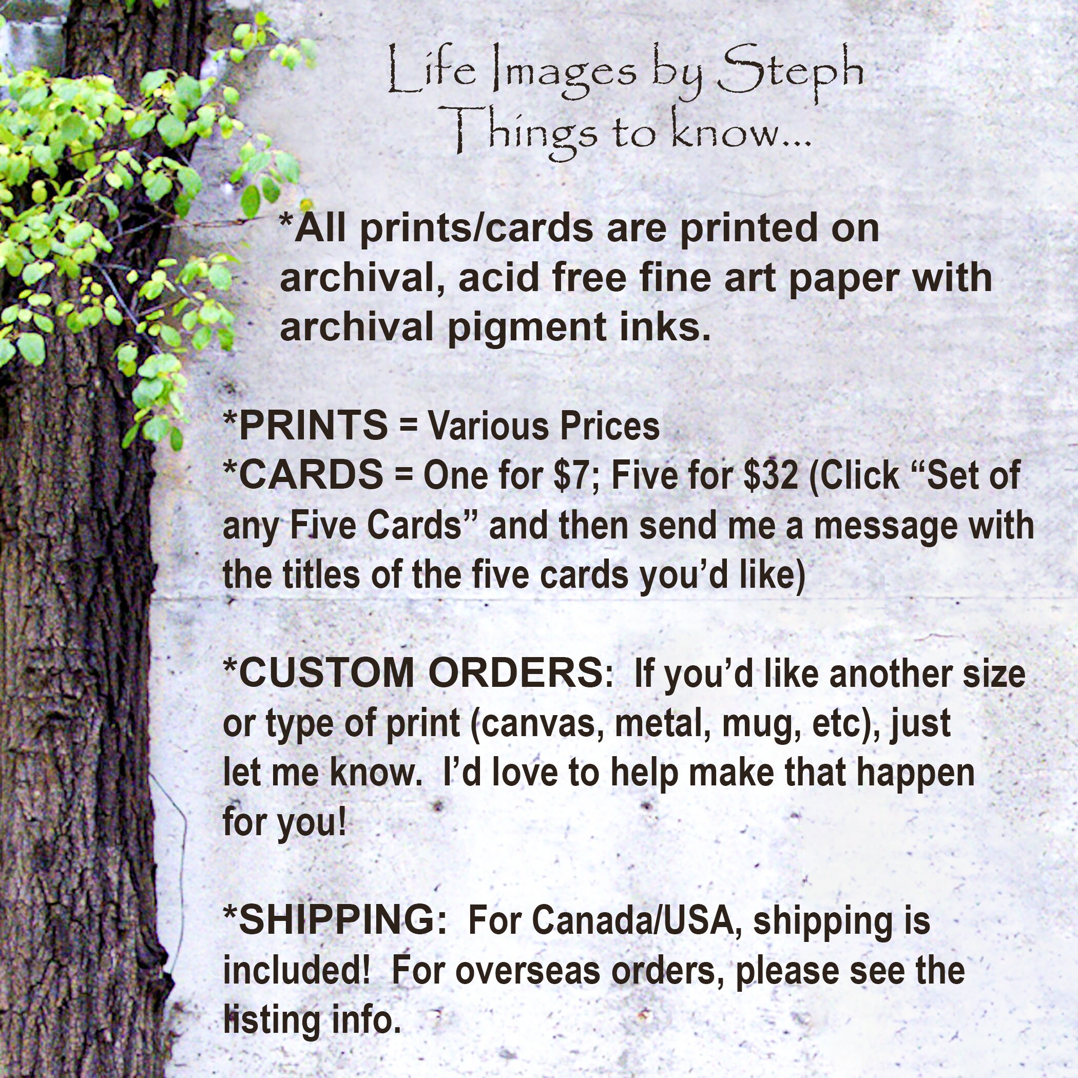 Autumn Ruins-Prints/Card-Mackenzie King Estate, Kingsmere, Quebec ...