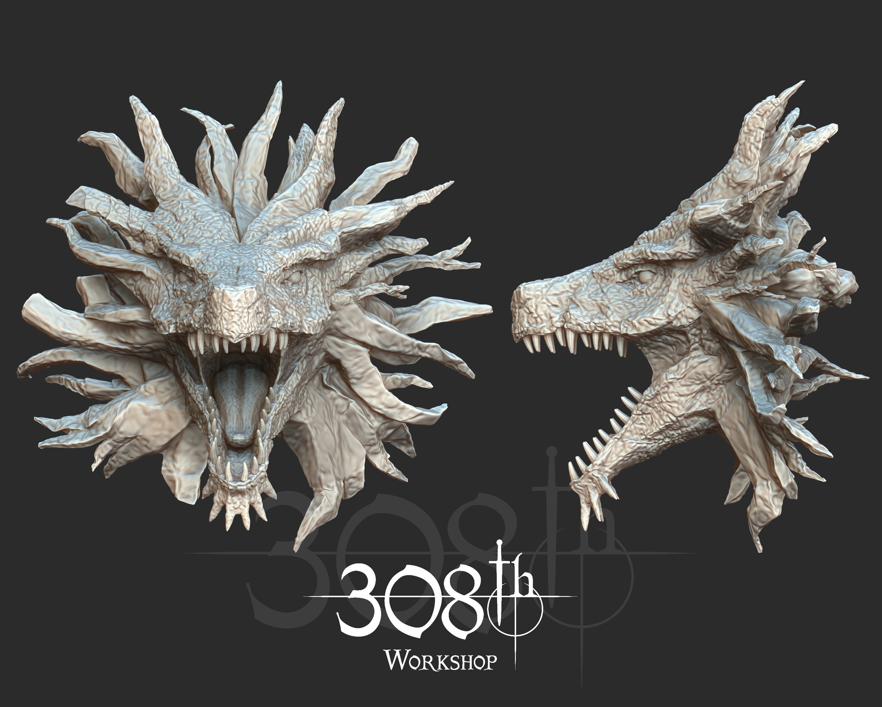 Dark Souls Dragon Form Estus