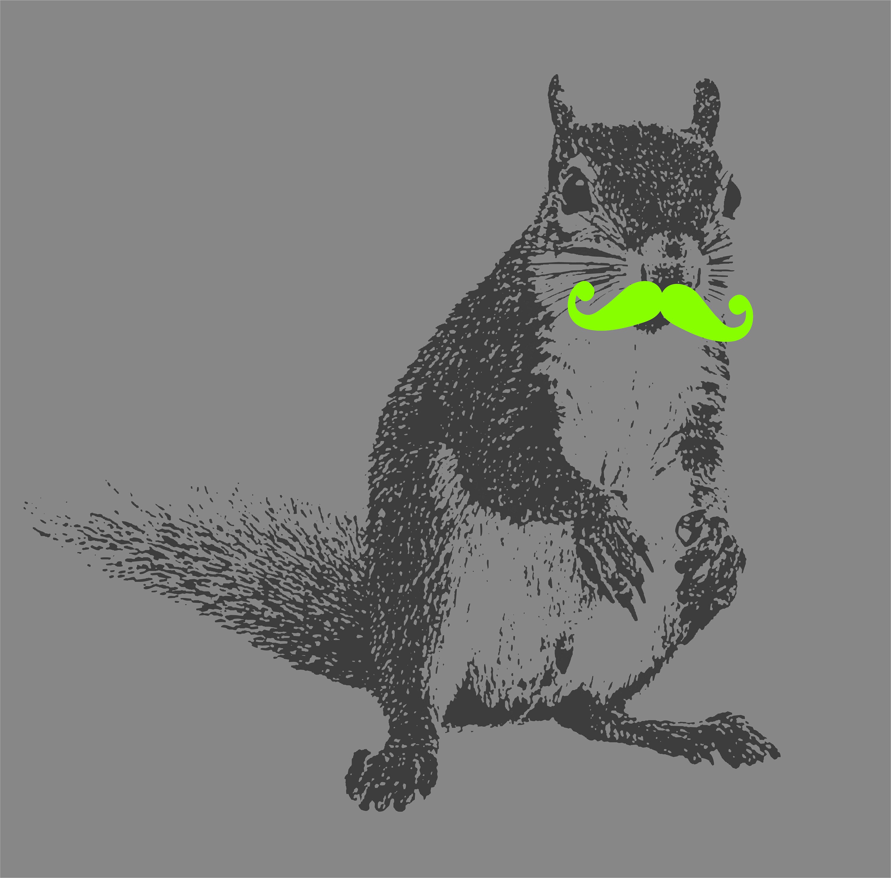 Squirrel Mustache T-shirt in Stone Grey screen Printed Next Level CVC ...