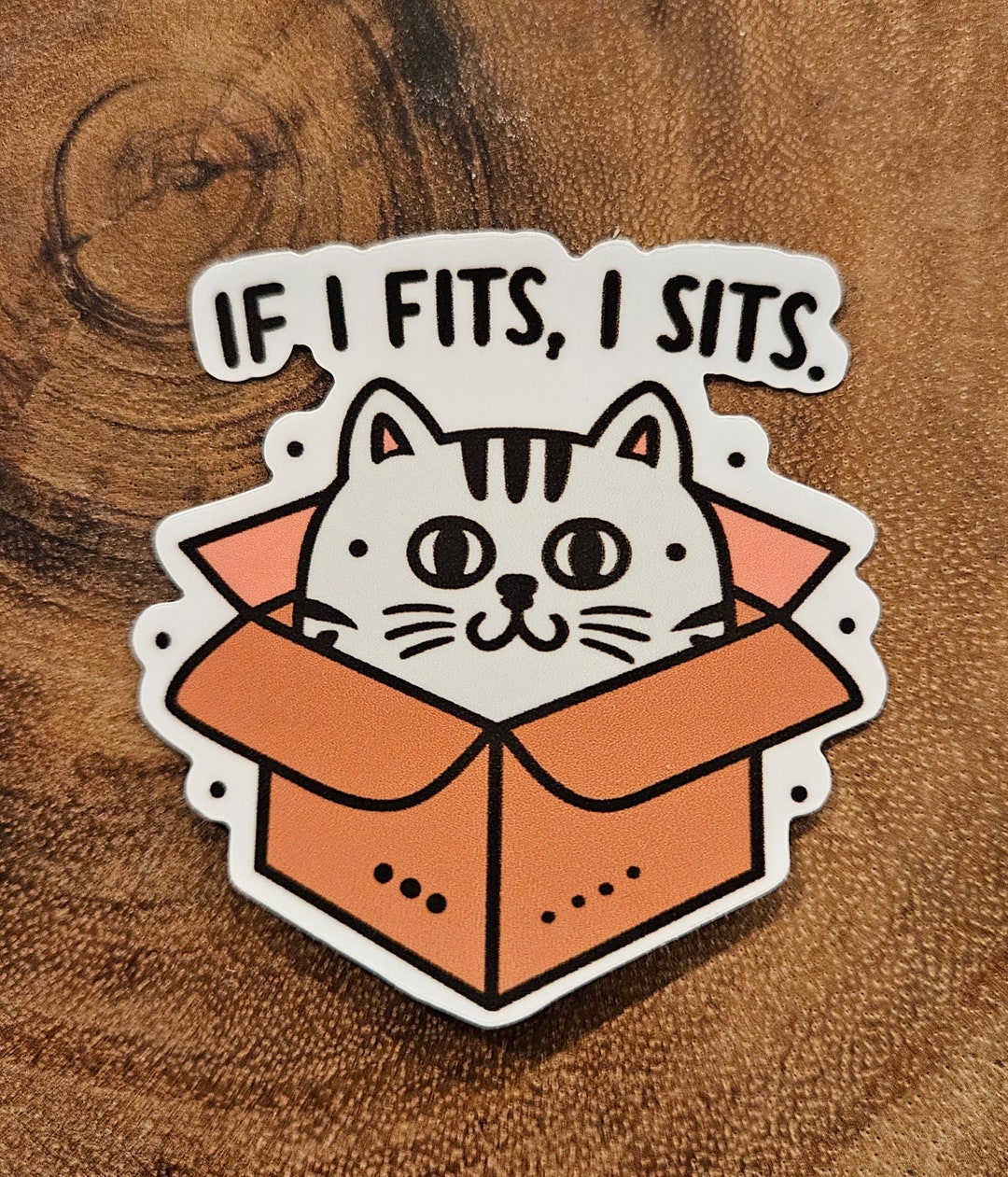 Cute Cat Sticker - If I Fits, I Sits - Etsy