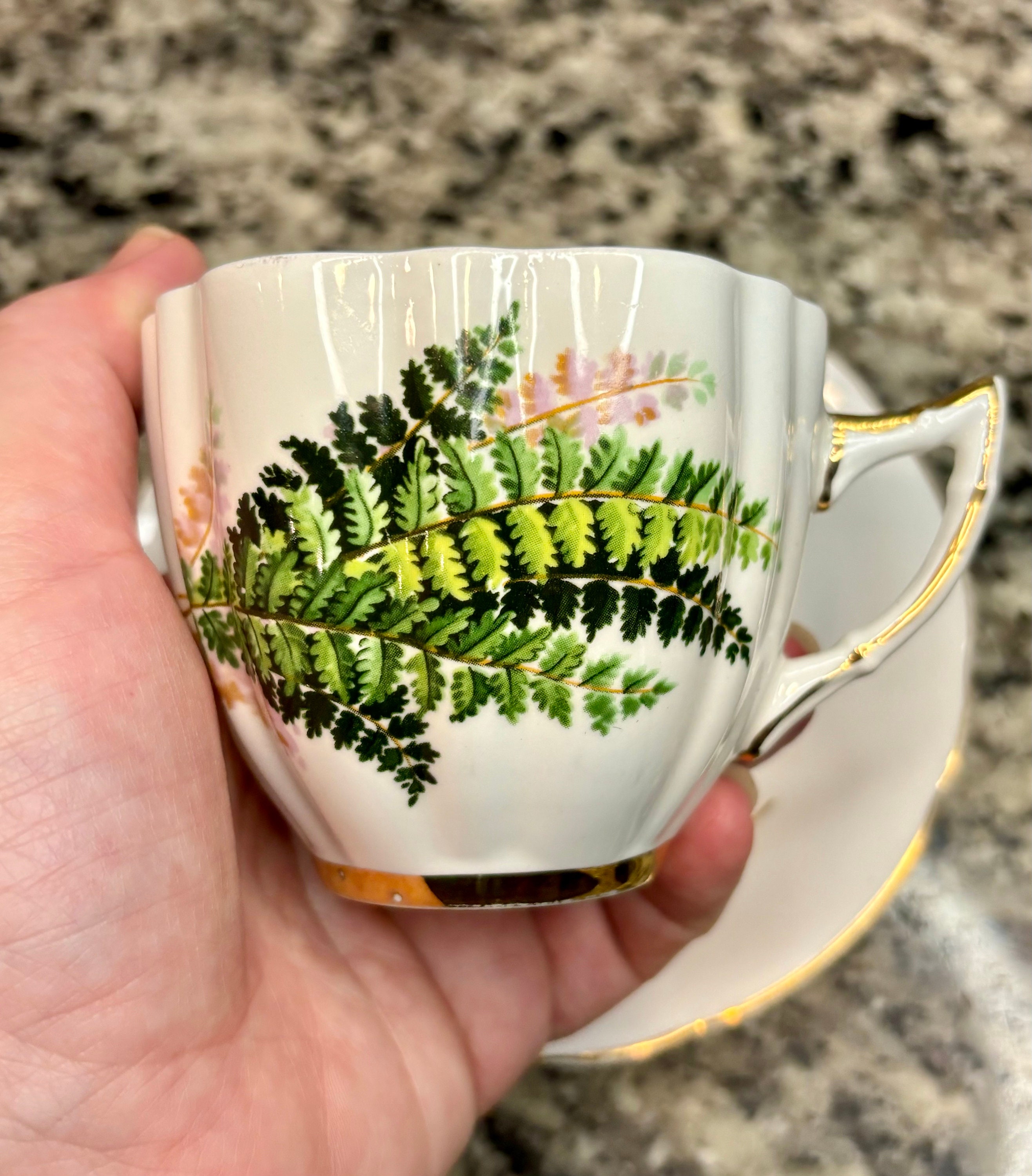 Hall Brothers Royal Prince Wild Ferns Cup and Saucer Scalloped Gold ...