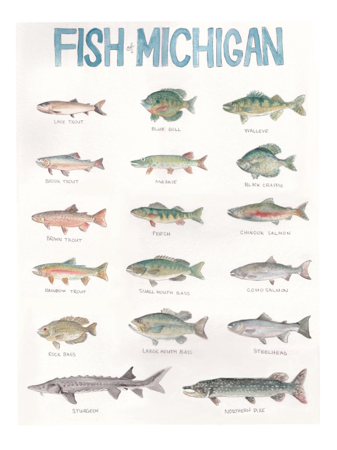 Fish of Michigan Wall Art -watercolor Print - Etsy