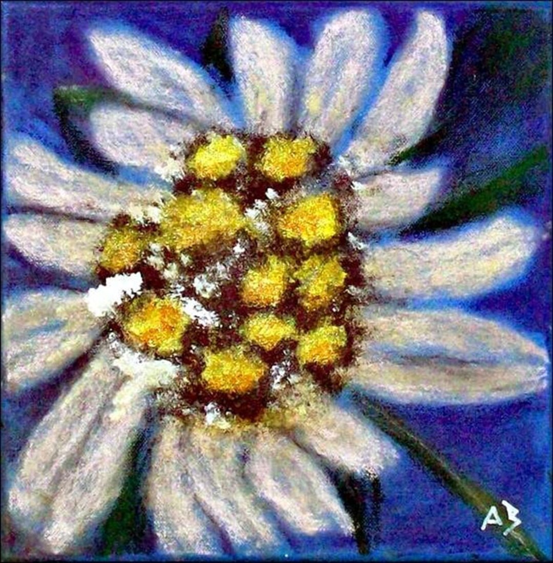 2017#54_edelweiss Mixing Technique Painting Pastel Cretaceous Acrylic ...
