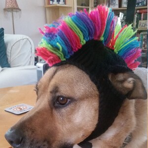 Mohawk Dog/cat Hat - Etsy