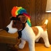 Mohawk Dog/cat Hat - Etsy