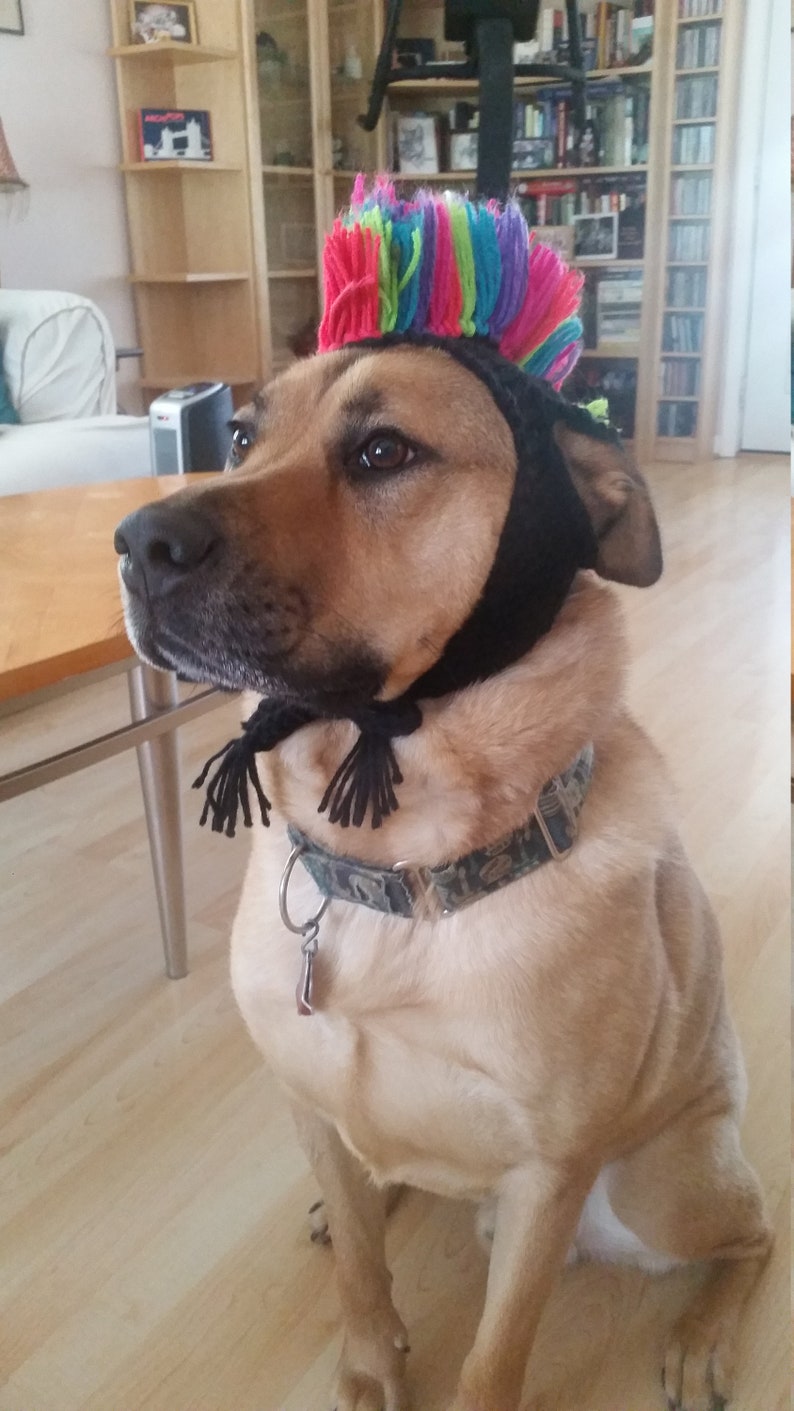 Mohawk Dog/cat Hat - Etsy