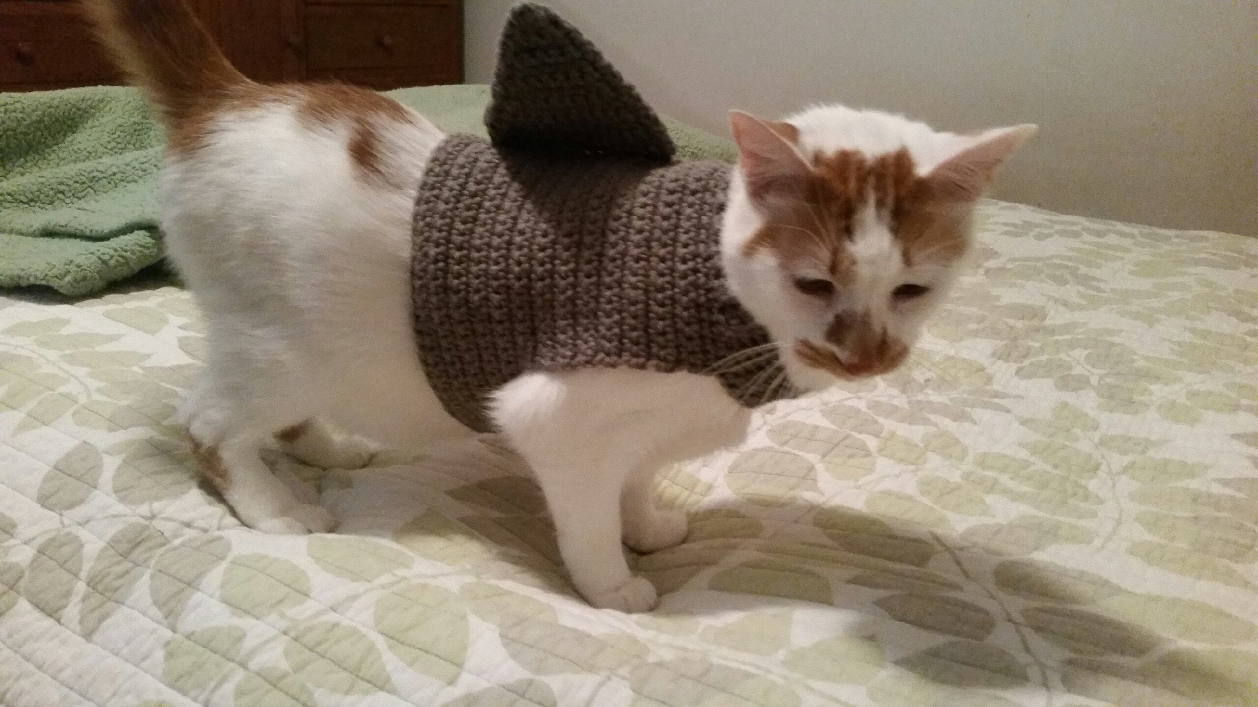 Crochet Cat Shark Sweater Costume - Etsy