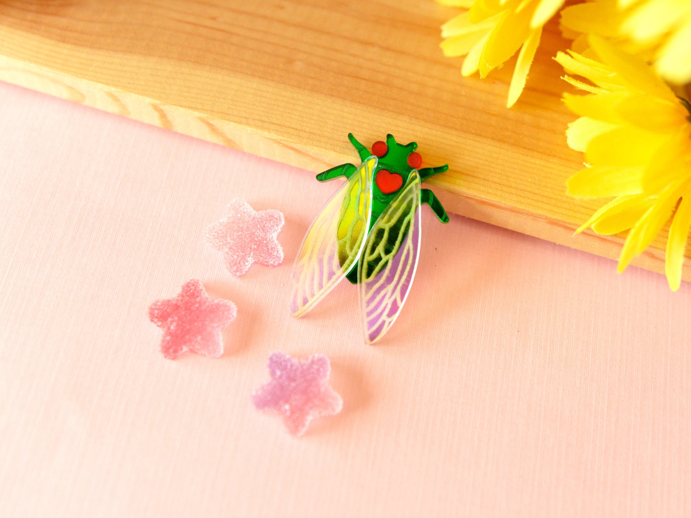 Cicada Pin brooch Cicada brooch Cicadas Insect badge pin | Etsy