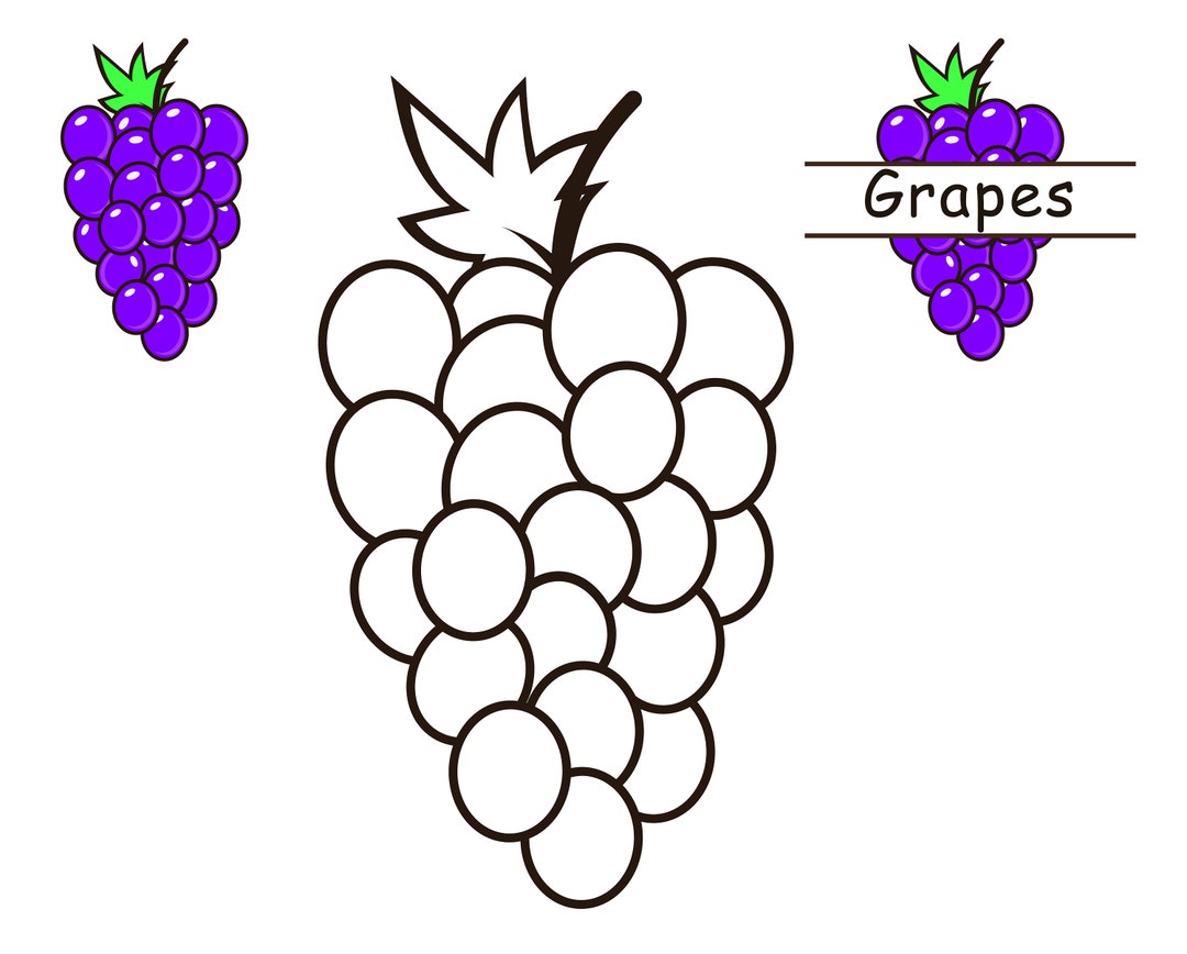 Grapes Eps Grapes Clipart Grapes Svg Grapes Fruit Learning - Etsy Canada