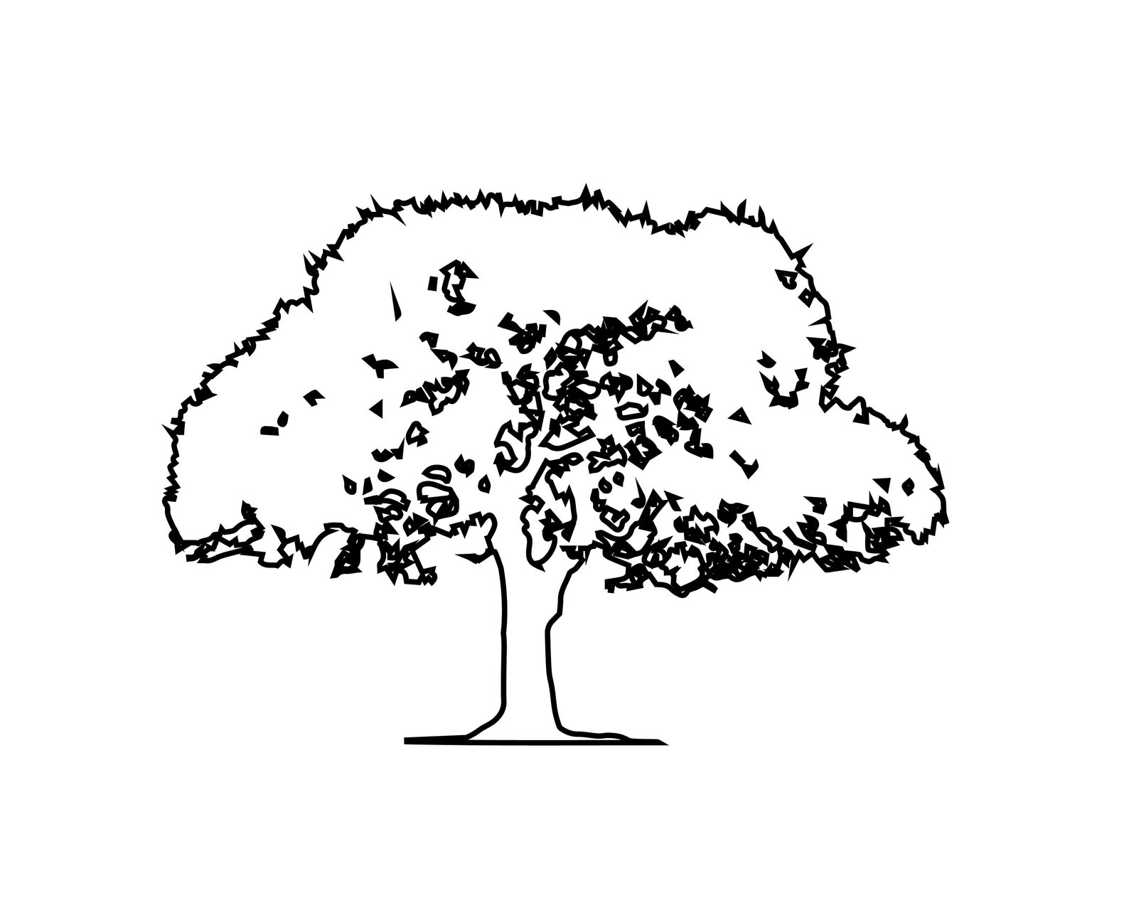 Tree Outline Svg Tree Clipart Tree Vector Tree Clipart - Etsy