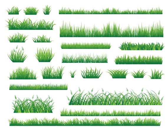 Grass Vector Free Download