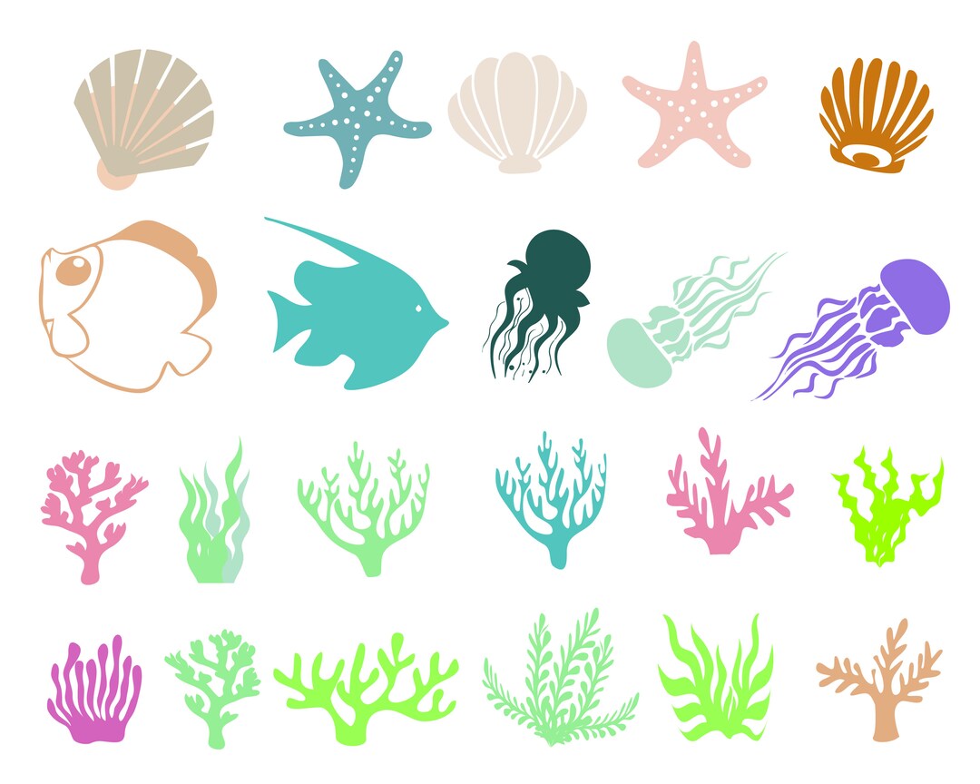 Seashell Svg, Sea Shell SVG, Beach SVG, Clam SVG, Under the Sea Eps ...