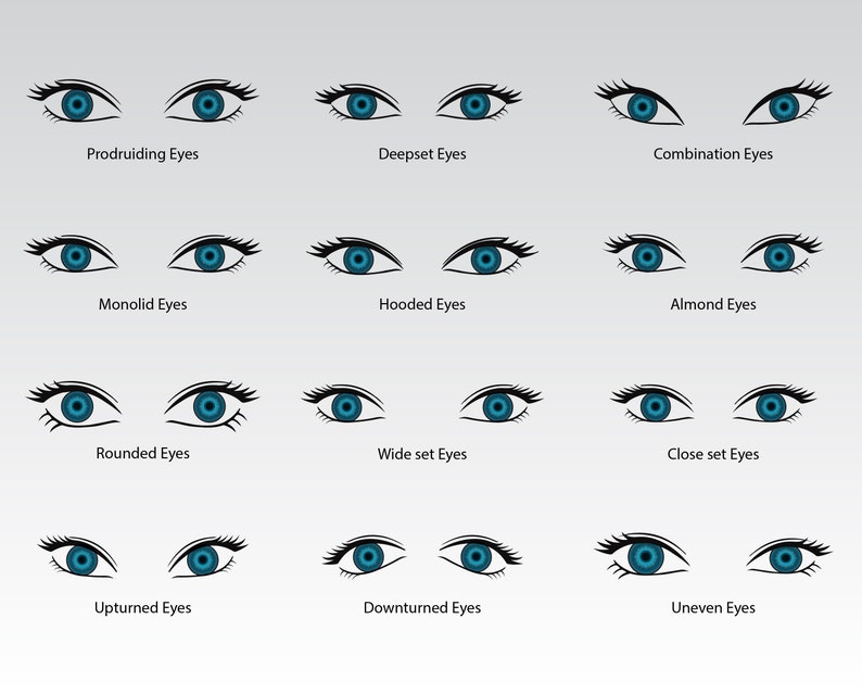 Human Eyes Vectors , Eye Types Collection , Eye Shapes, Eye Vector and ...