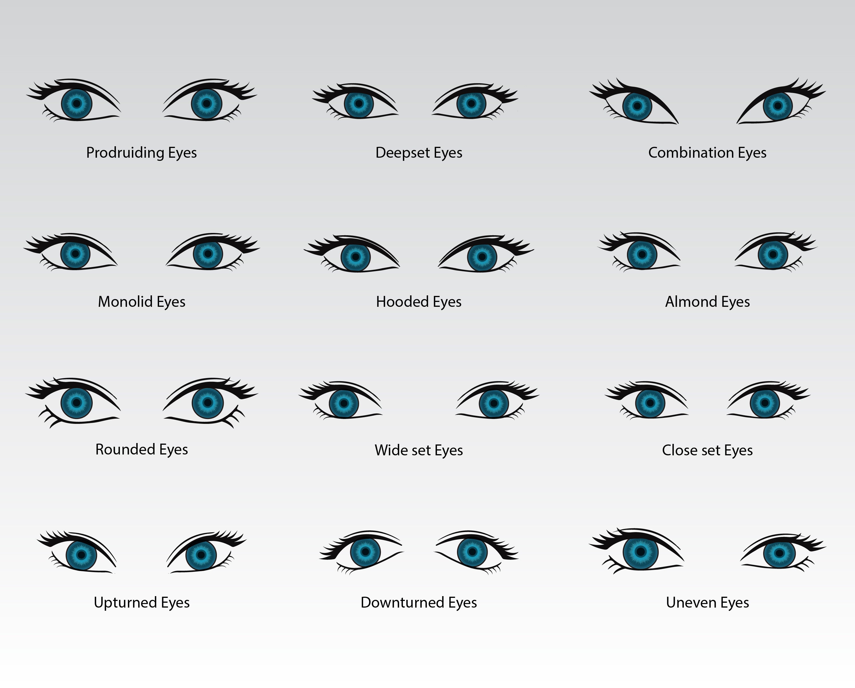 Types Of Eyes Ubicaciondepersonas cdmx gob mx