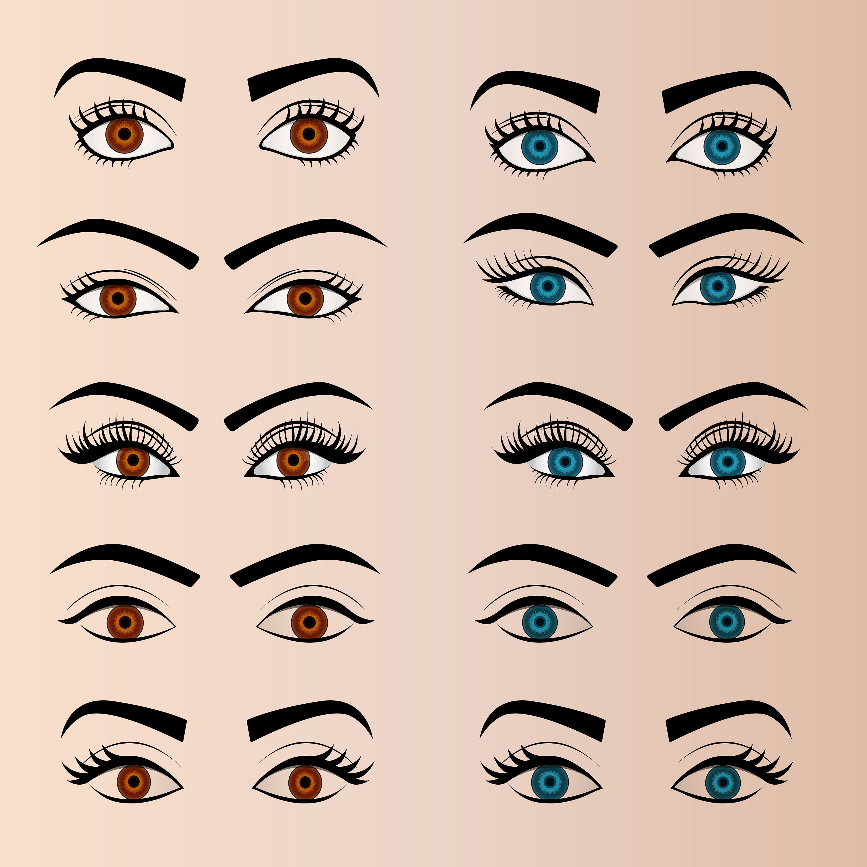 Female Eyes Vector