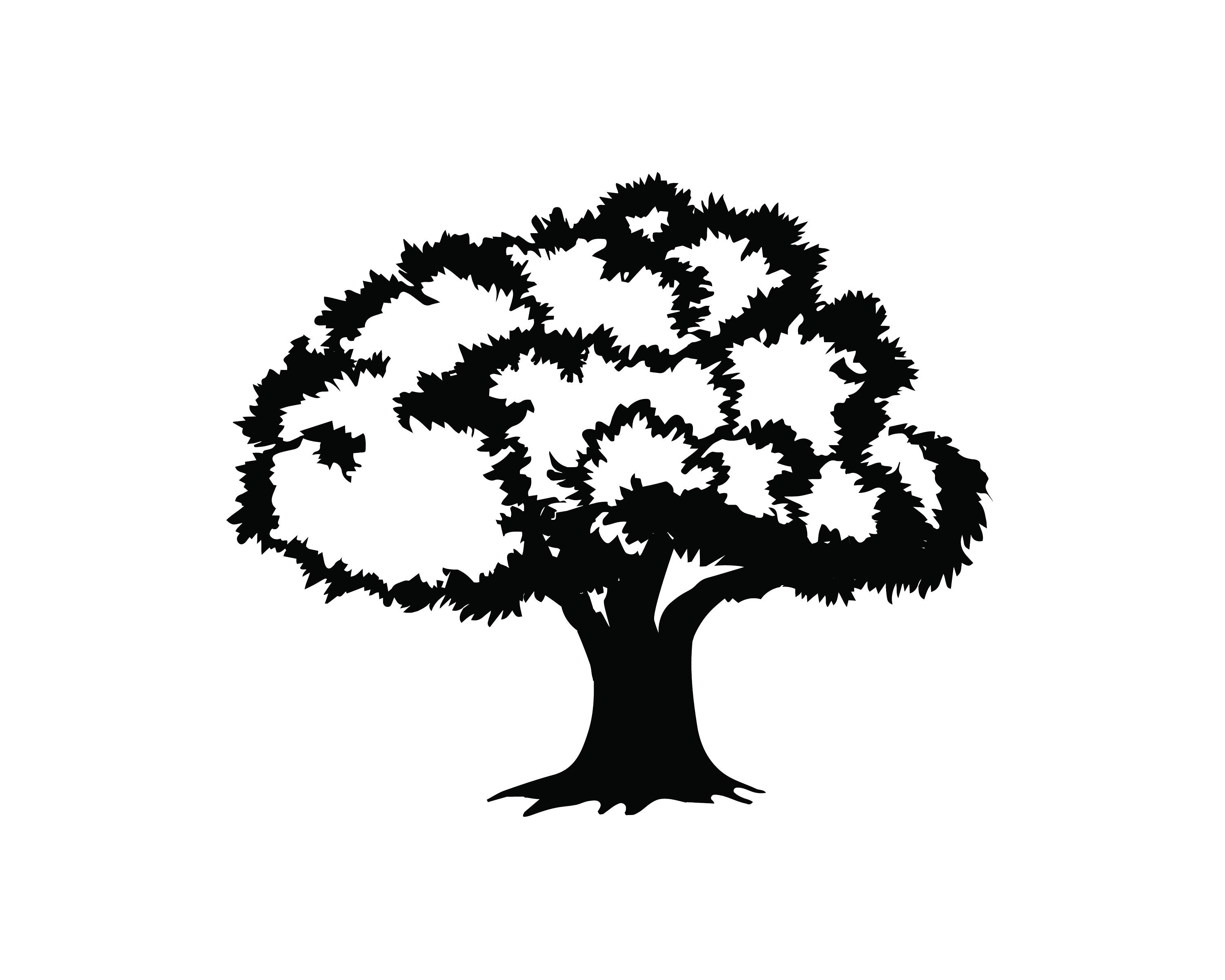 Tree Outline Svg Tree Clipart Tree Vector Tree Clipart - Etsy Australia