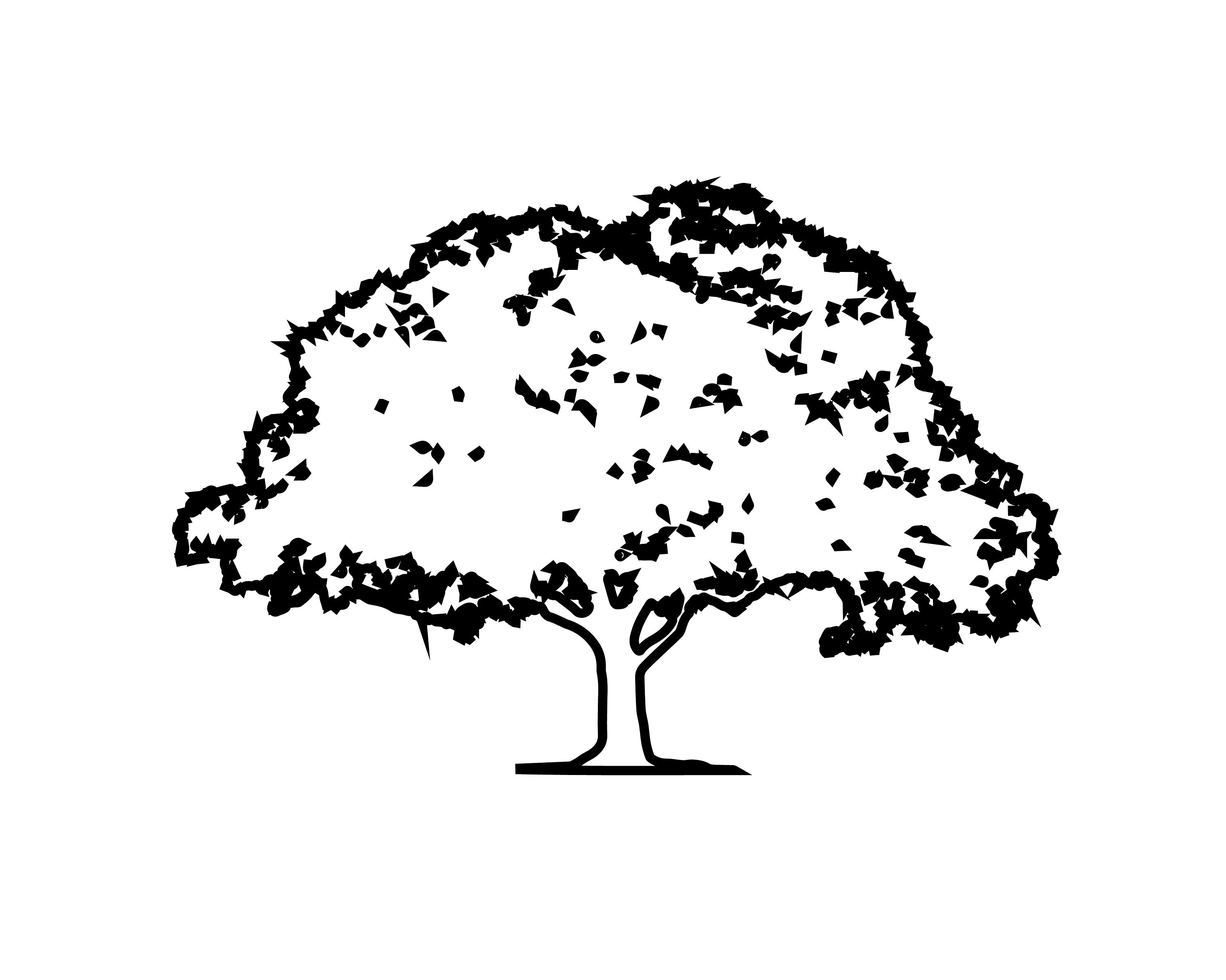 Tree Outline Svg, Tree Clipart, Tree Vector, Tree Clipart, Tree ...