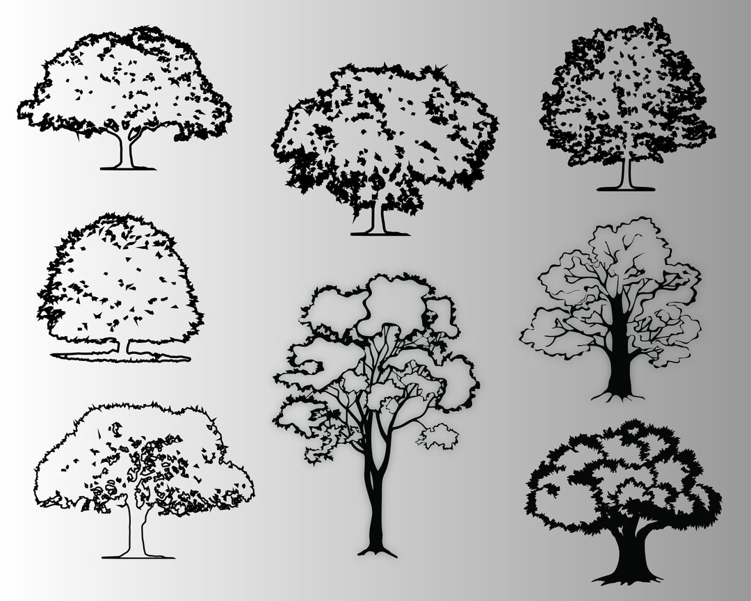 Tree Outline Svg, Tree Clipart, Tree Vector, Tree Clipart, Tree ...