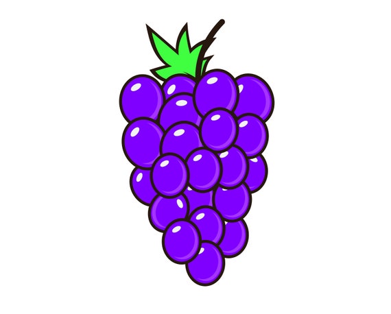 Grapes Eps Grapes Clipart Grapes Svg Grapes Fruit Learning - Etsy