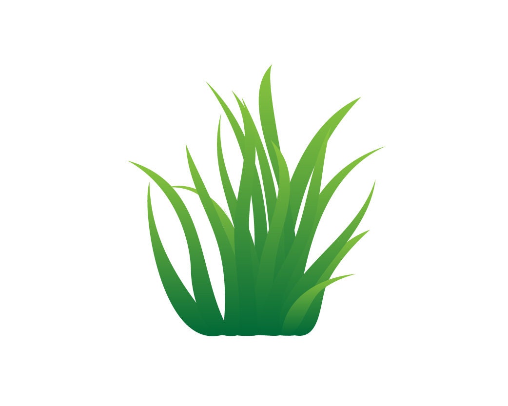 Tufts Of Grass Clipart No Background