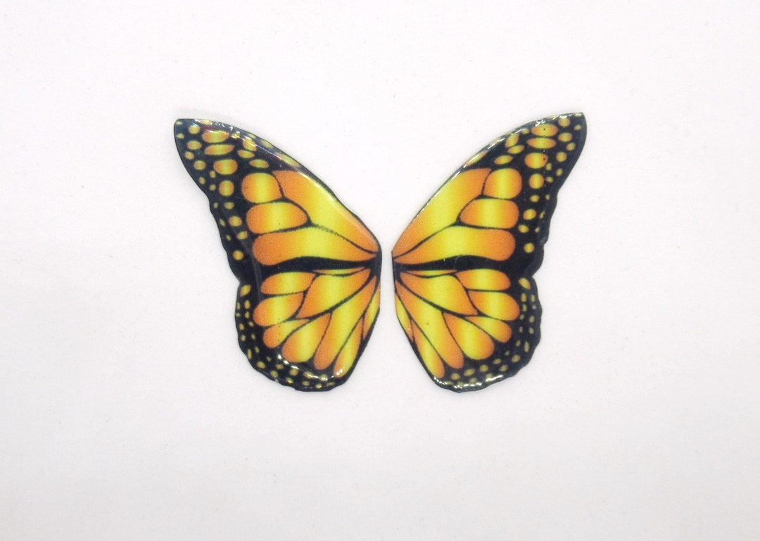 Fairy Wings - Miniature Butterfly Wings - Resin Wings - Colourful ...