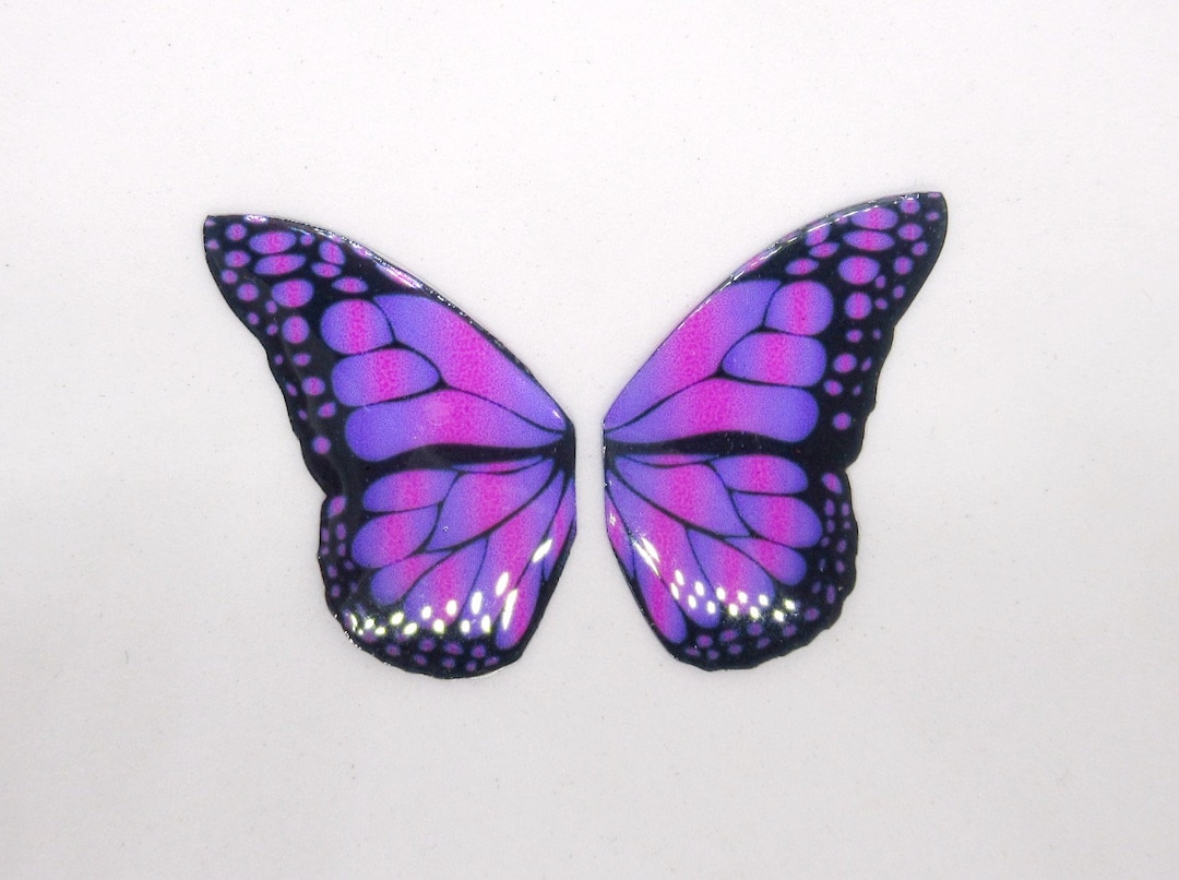 Fairy Wings Miniature Butterfly Wings Resin Wings Colourful Acetate ...