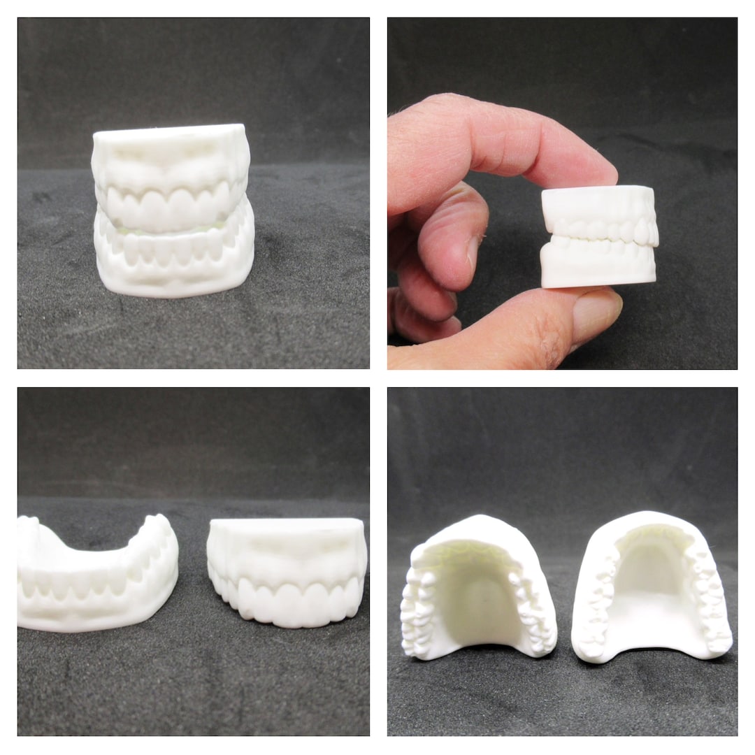 Fake Human Teeth for Amigurumi or Puppets - Set of 2 - Resin Teeth ...