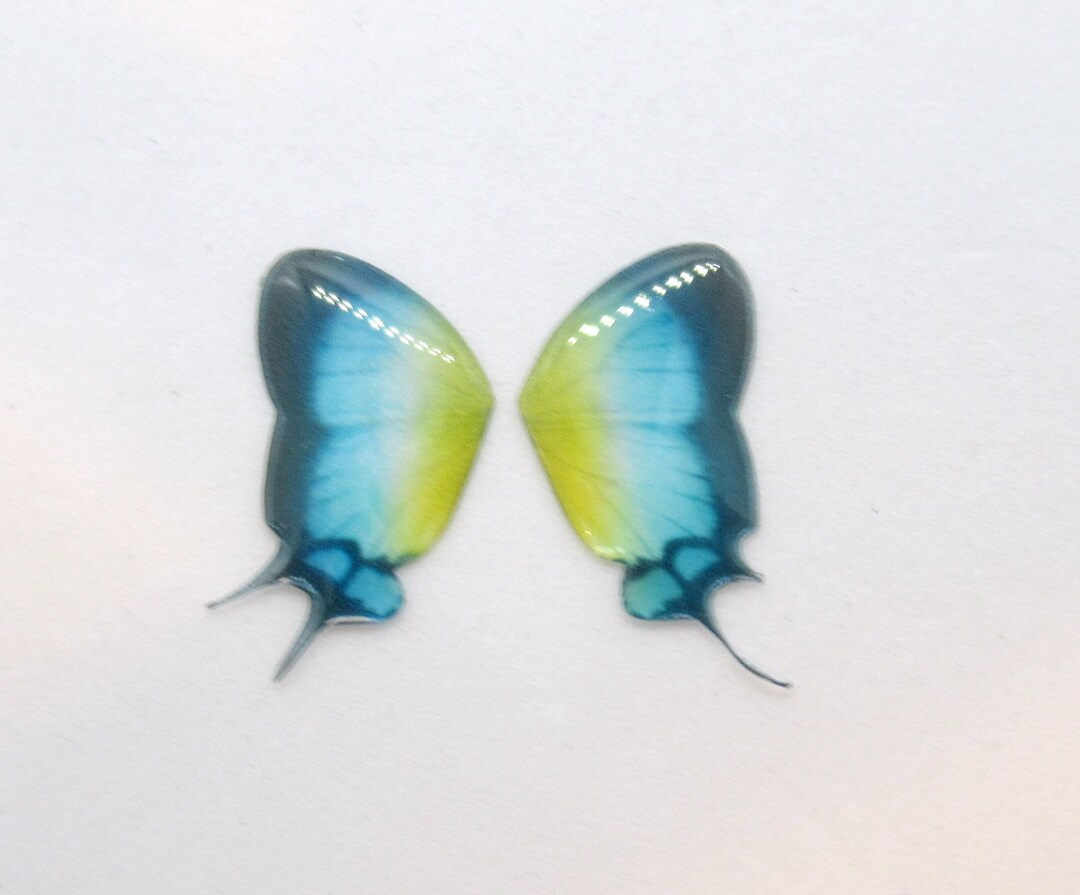 Fairy Wings - Miniature Butterfly Wings - Resin Wings - Colourful ...