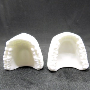 Fake Human Teeth for Amigurumi or Puppets - Set of 2 - Resin Teeth ...